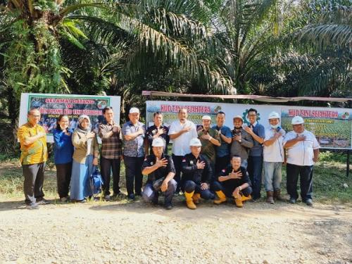 PTPN V Jadi Role Model Peremajaan Sawit Rakyat Aceh